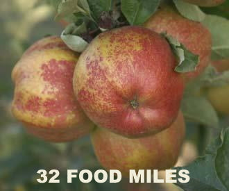 Kent Seasonal Fruit